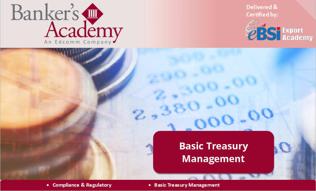 Basic Treasury Management – eBSI Export Academy