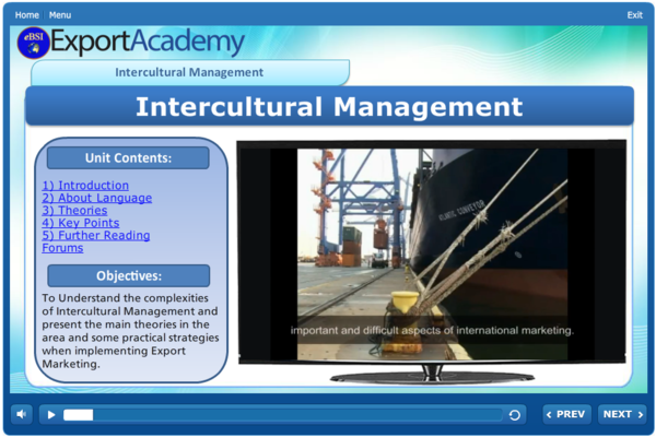 Intercultural Management – eBSI Export Academy